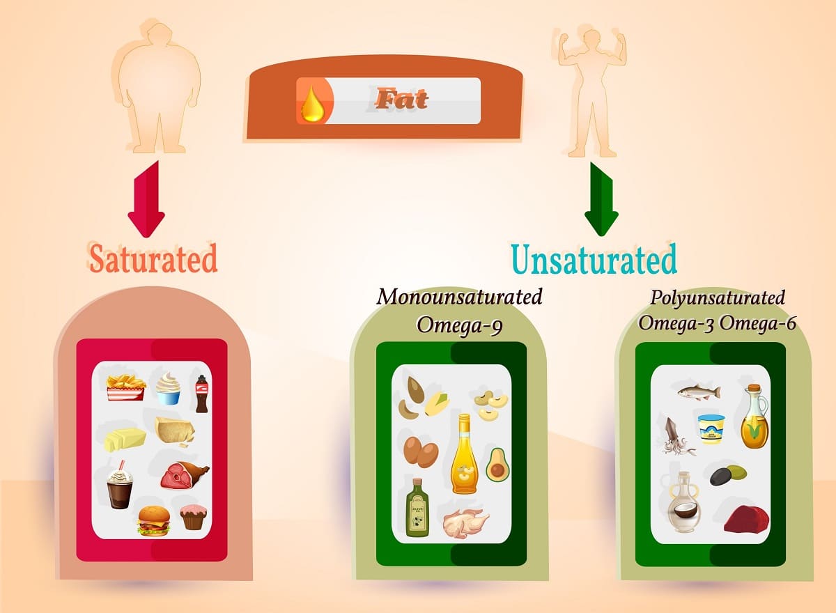 Difference Between Saturated and Unsaturated Fats - Self Weight Loss